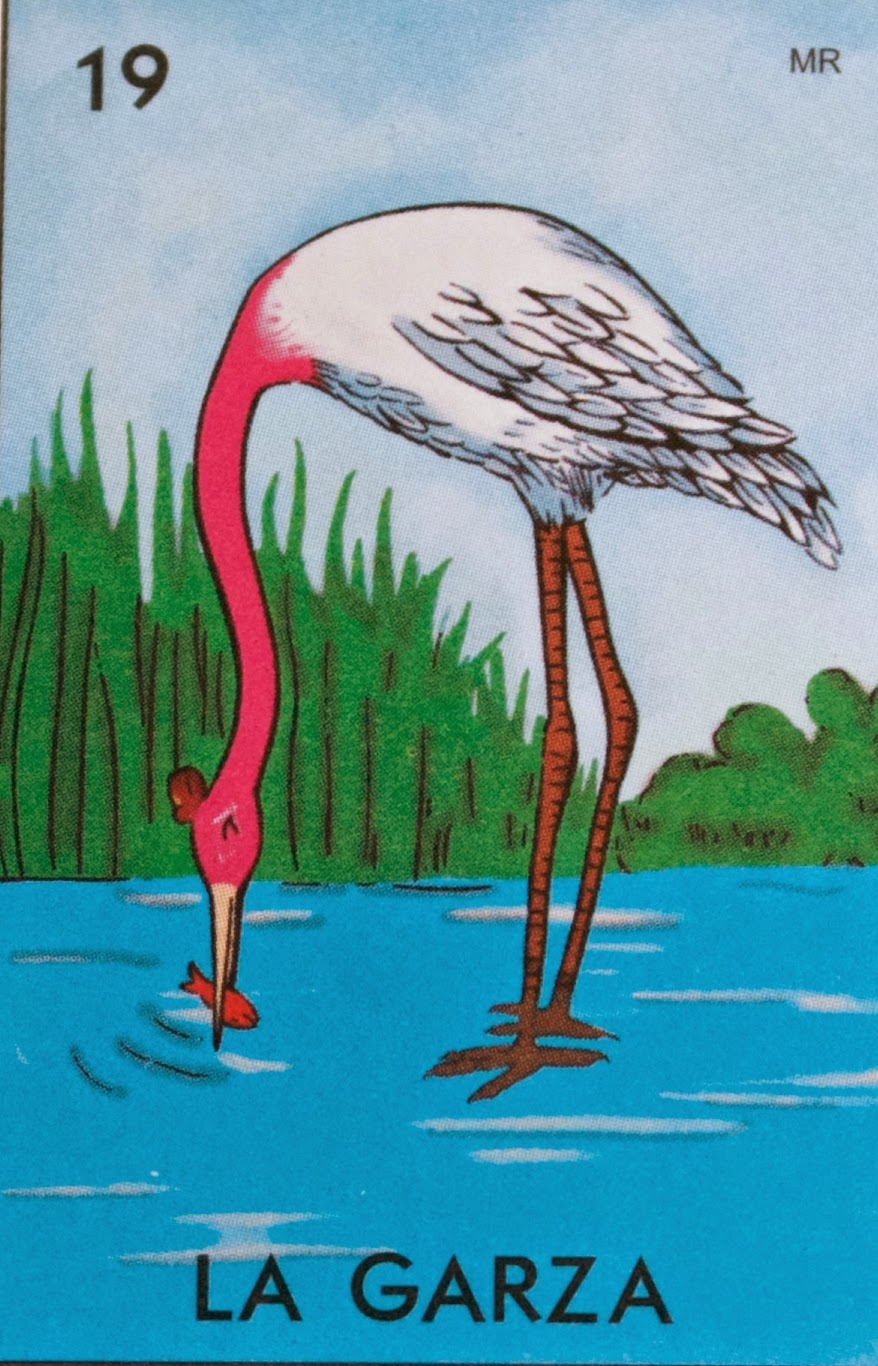 What Does La Garza Mean In English at Tyler Curr blog