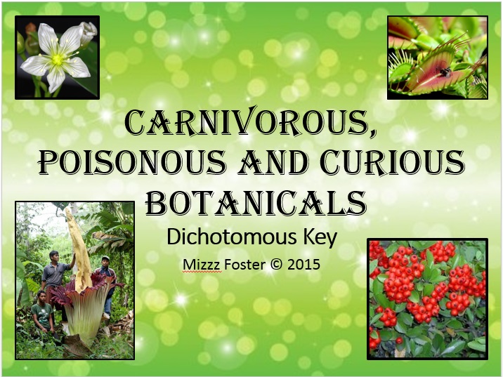 Mizzz Foster's Class: Dichotomous keys with a touch of the peculiar ...