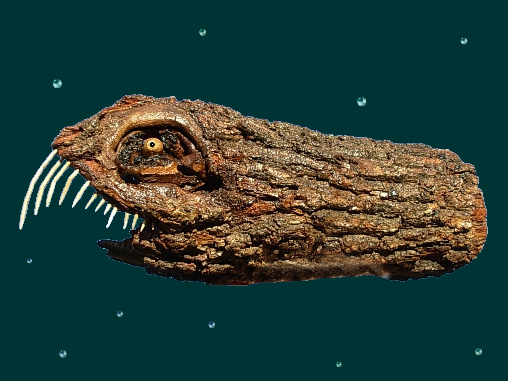 Madeira viva: Peixe abissal 2 / Rei macaco / Coruja raiada (2010 ...