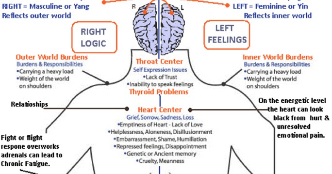 BlissKi - Awaken your Mind, Body and Spirit: Energy Centres