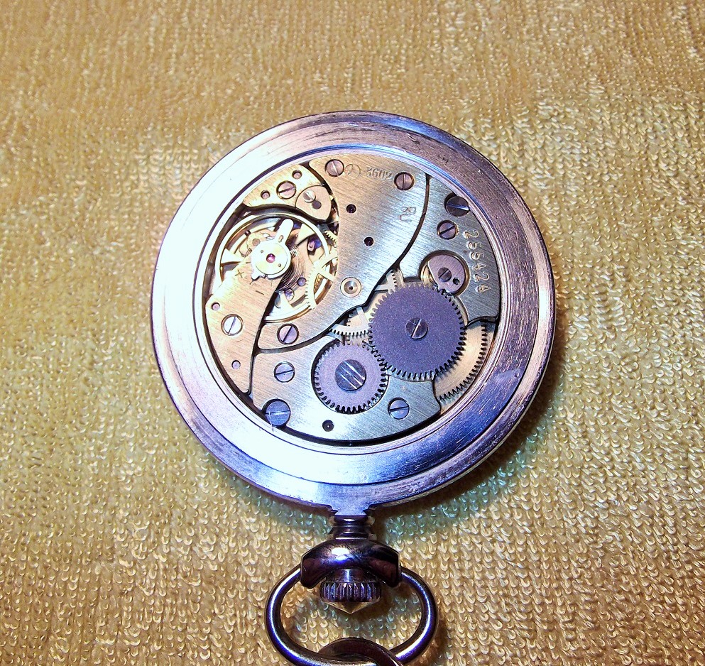 VreMax: Molnija 3602 Movement Pictures