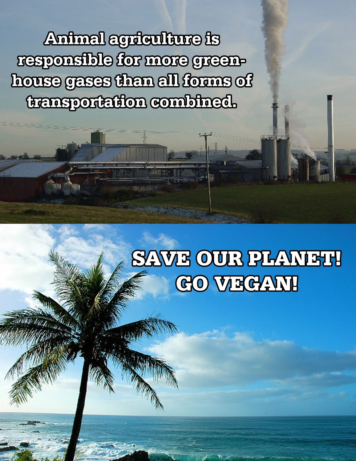 Joy of Vegan: ENVIRONMENTAL MEMES TO SHARE
