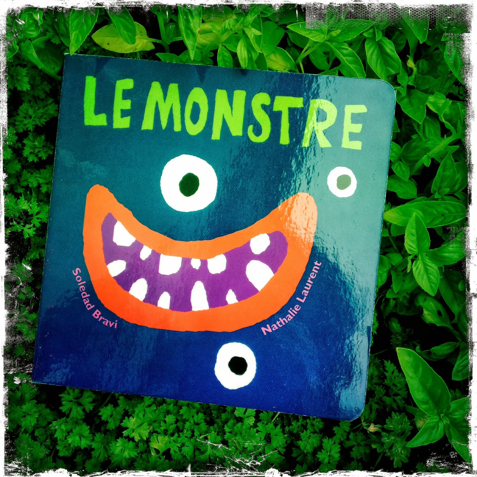 LECTURE-ADDICT: Le monstre (Soledad Bravi, Nathalie Laurent)