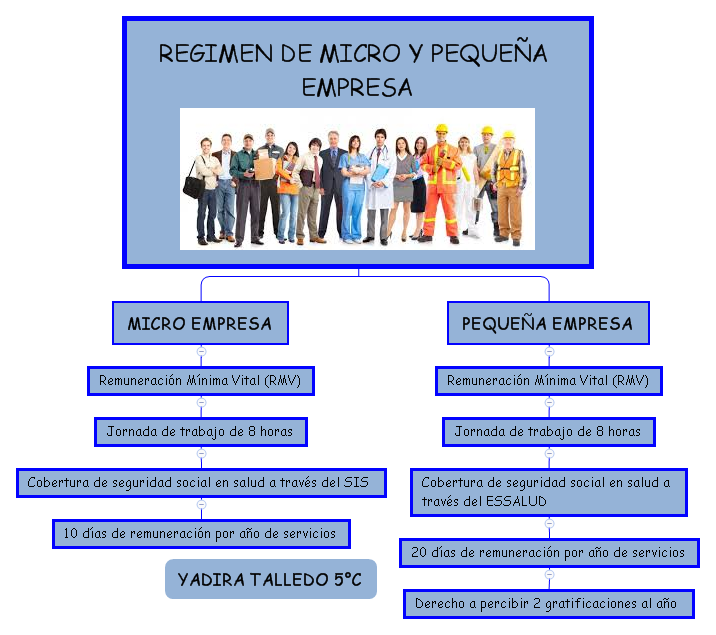 Yadira Talledo : REGIMEN DE MICRO Y PEQUEÑA EMPRESA