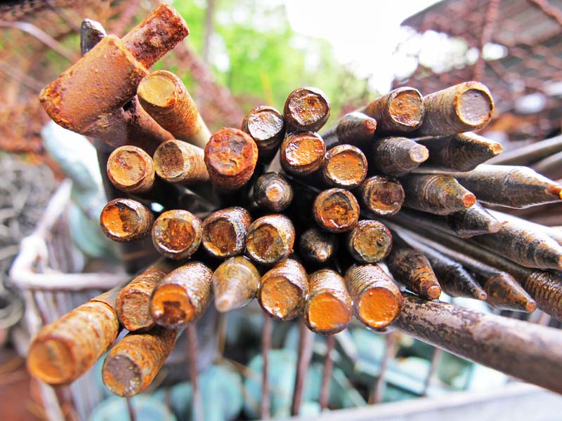 Jennifer Coyne Qudeen: Marvin Gardens