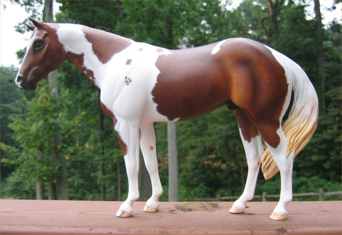 Oakfield Equine Cremation Service