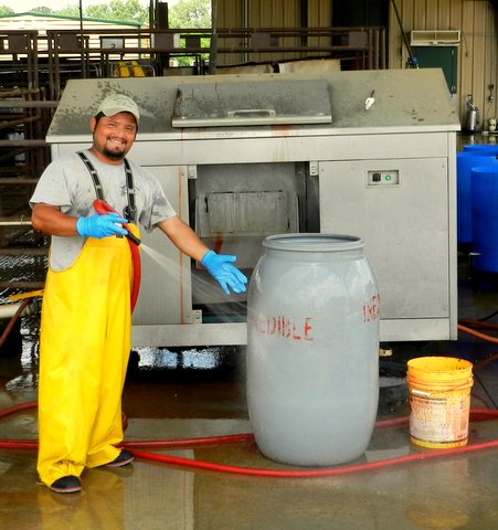 Regeneration in ACTION: Food Waste: Too Valuable for the Landfill