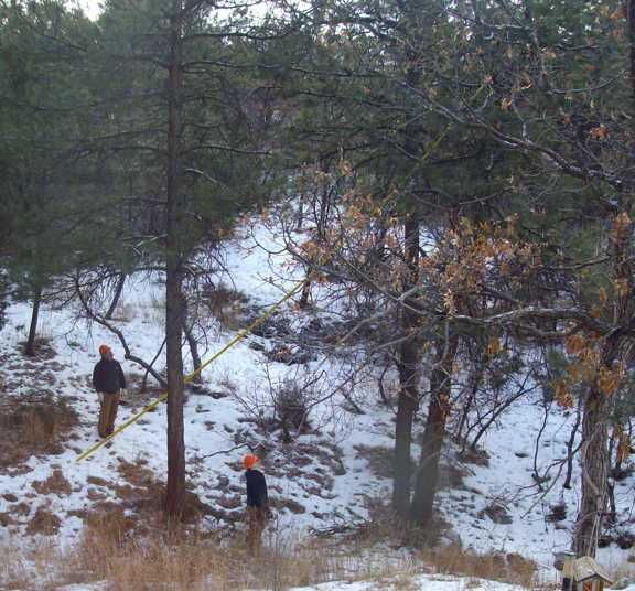 Southern Rockies Nature Blog: Power Lines and Pine Trees