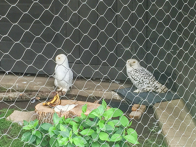 A Zoo in Baraboo - Ochsner Park