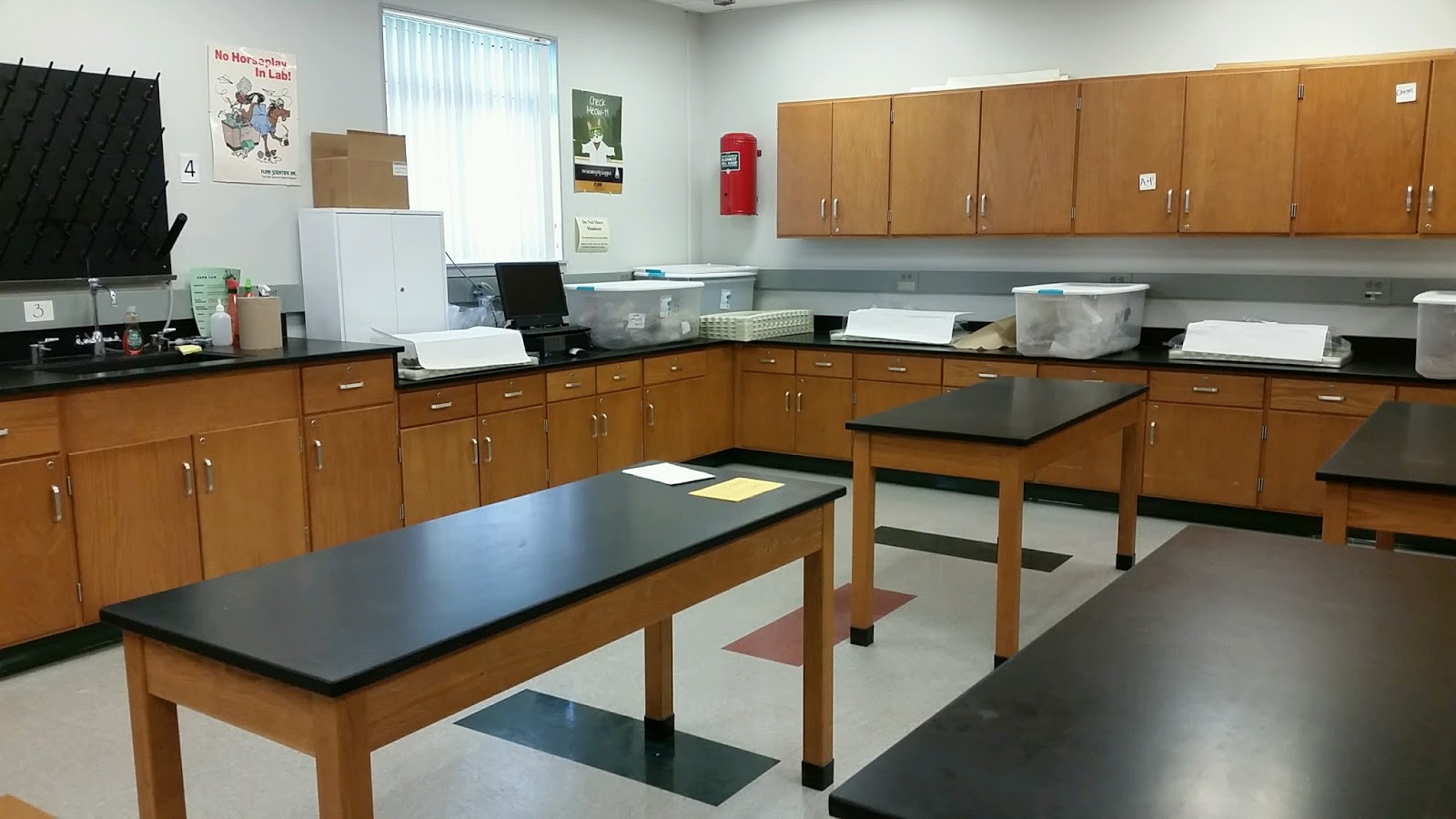 What Did You Do Today at School?: Dissection Lab Practical Tips