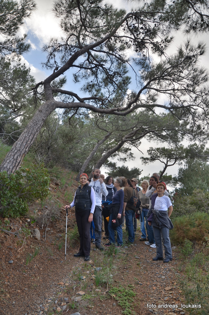 EXPLORE MOUNTAINS: ΠΕΖΟΠΟΡΙΚΗ ΔΙΑΔΡΟΜΗ ΣΤΟ ΣΤΑΥΡΟΧΩΡΙ ΣΗΤΕΙΑΣ