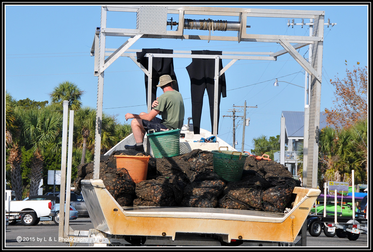 Ocala, Central Florida & Beyond: Harvesting Clams in Cedar Key, Florida