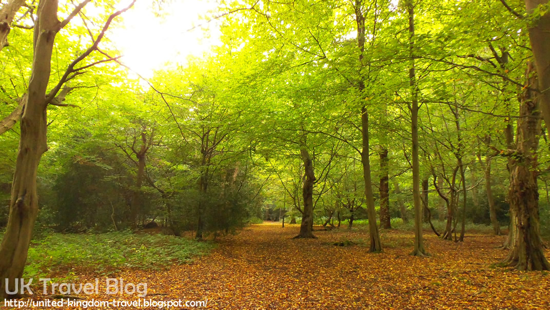 Whitewebbs Wood, Park and Golf Course - The Globe Trotter