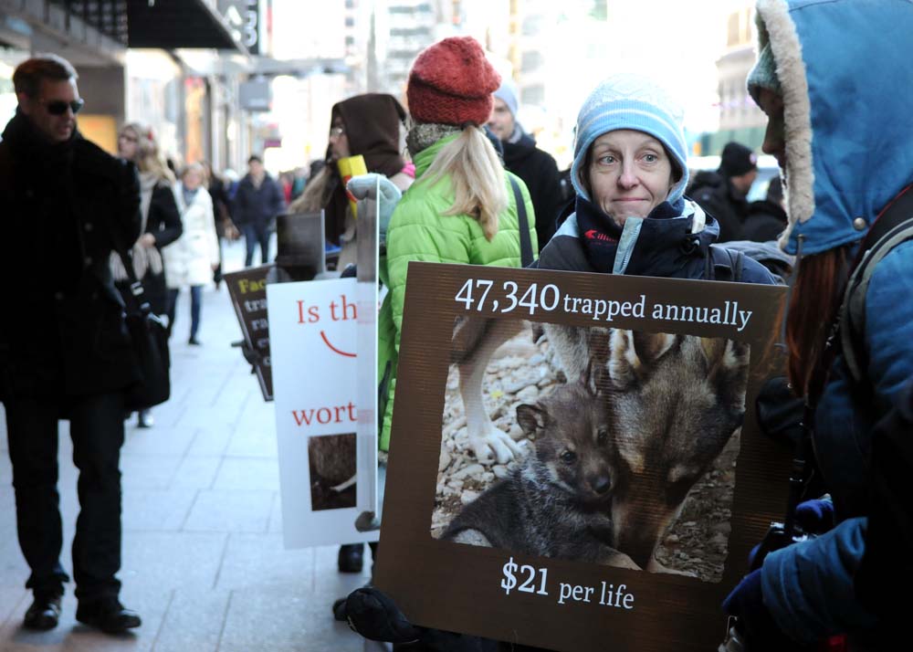 Fur protest in the Mink Mile | Bird Tattoos