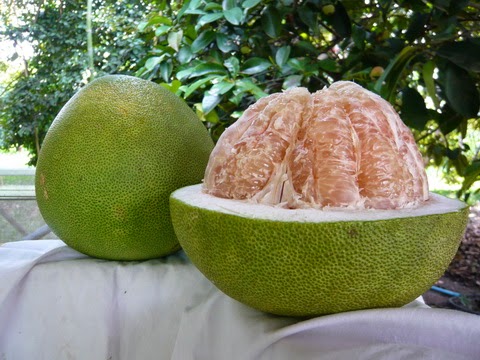 Gambar Buah Jeruk Bali Segar - Aku Buah Sehat