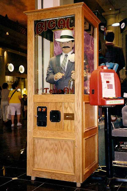 Mystery Playground: Build Your Own Fortune Teller Machine