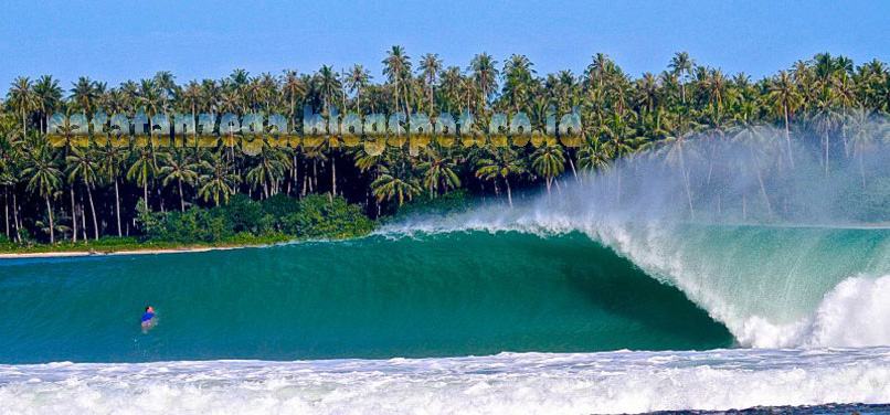 Sorake beach-best place for surfers, second best wave in the world ...