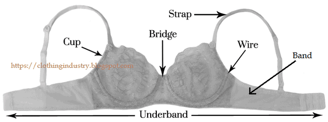How Should a Bra Fit Properly - Một chiếc áo ngực vừa vặn đúng cách cần ...