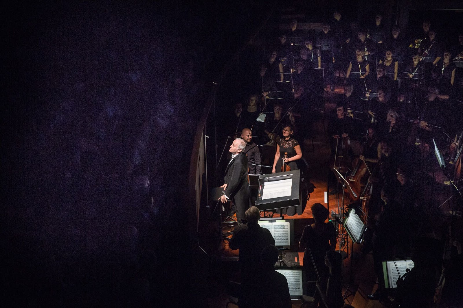 Ionarts: Bayreuth on the Danube: The Budapest Wagner Days. Production ...