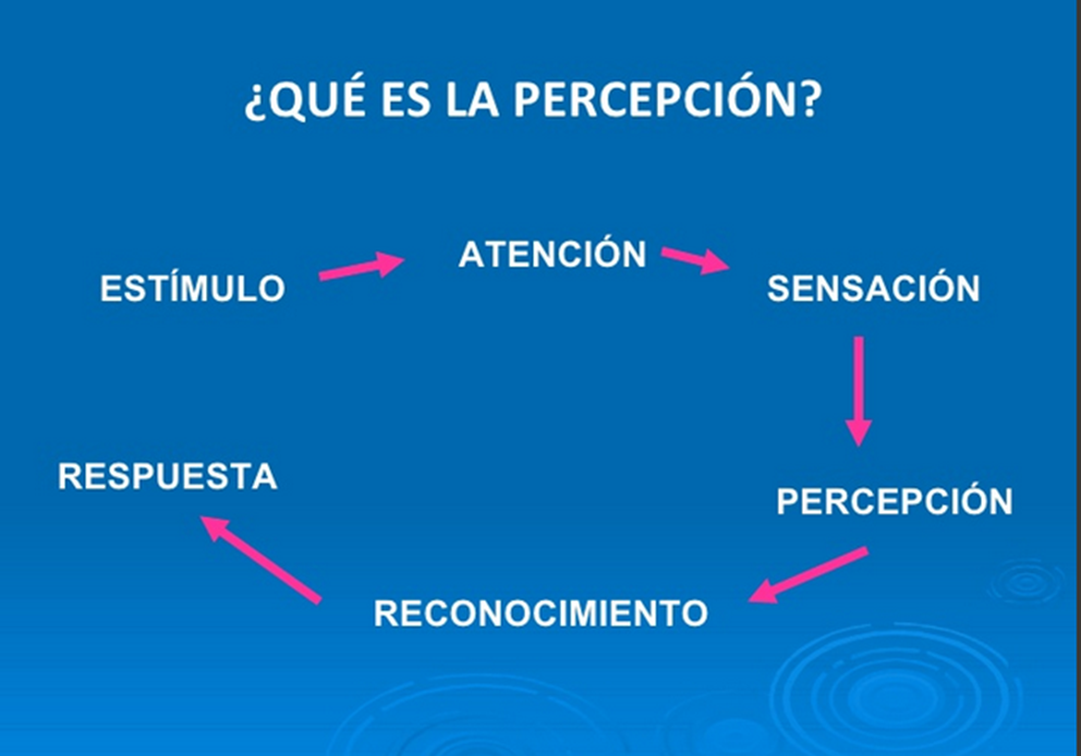 ESCAB (DESARROLLO DEL NIÑO 2): 1°BIMESTRE: DESARROLLO DE LAS ...