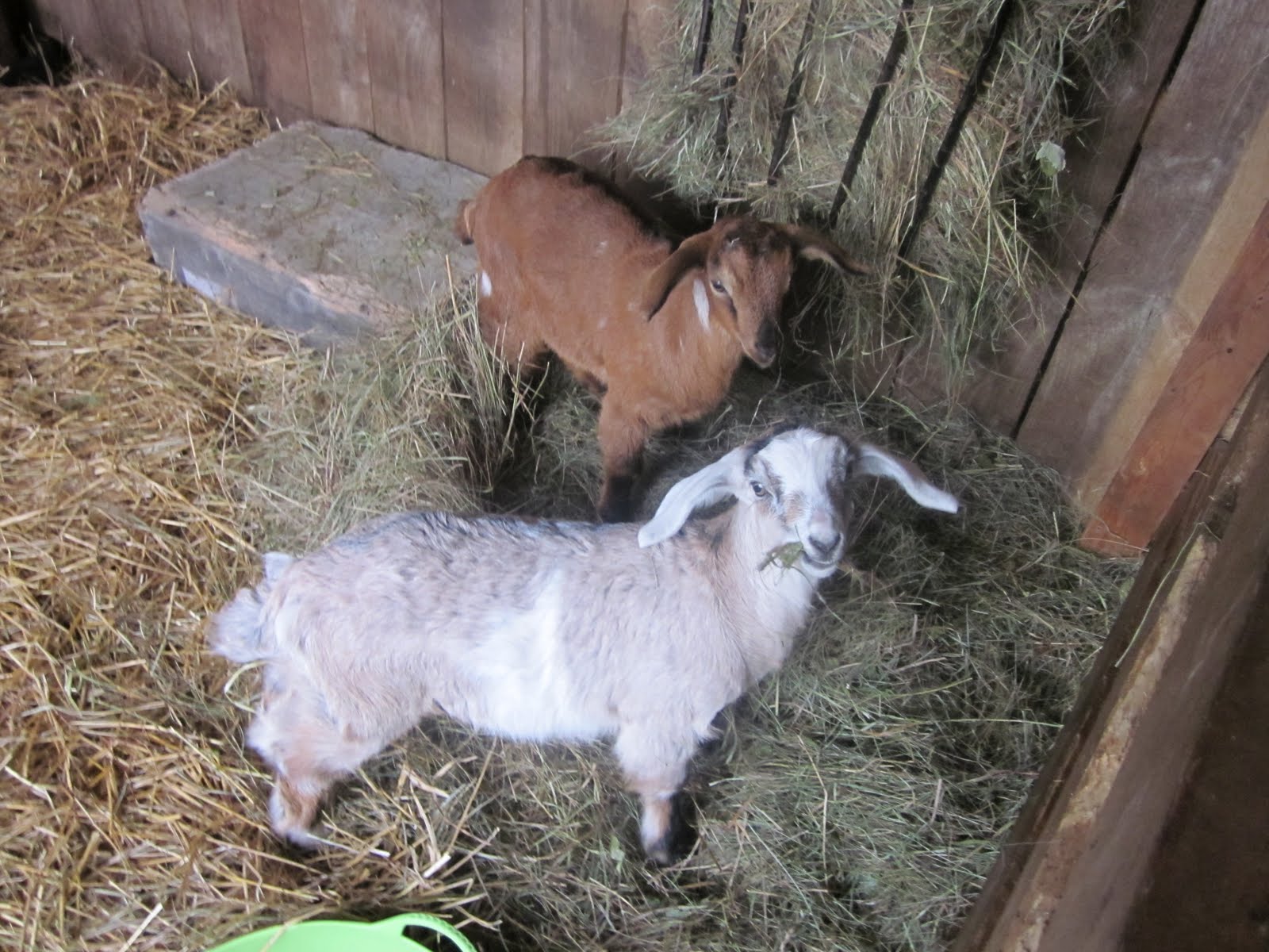 visualize industrial collapse