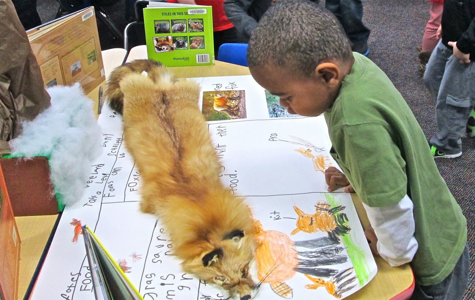 Mrs. Garrabrant's Classroom: Room 205's Ohio Wild Animals Open House ...