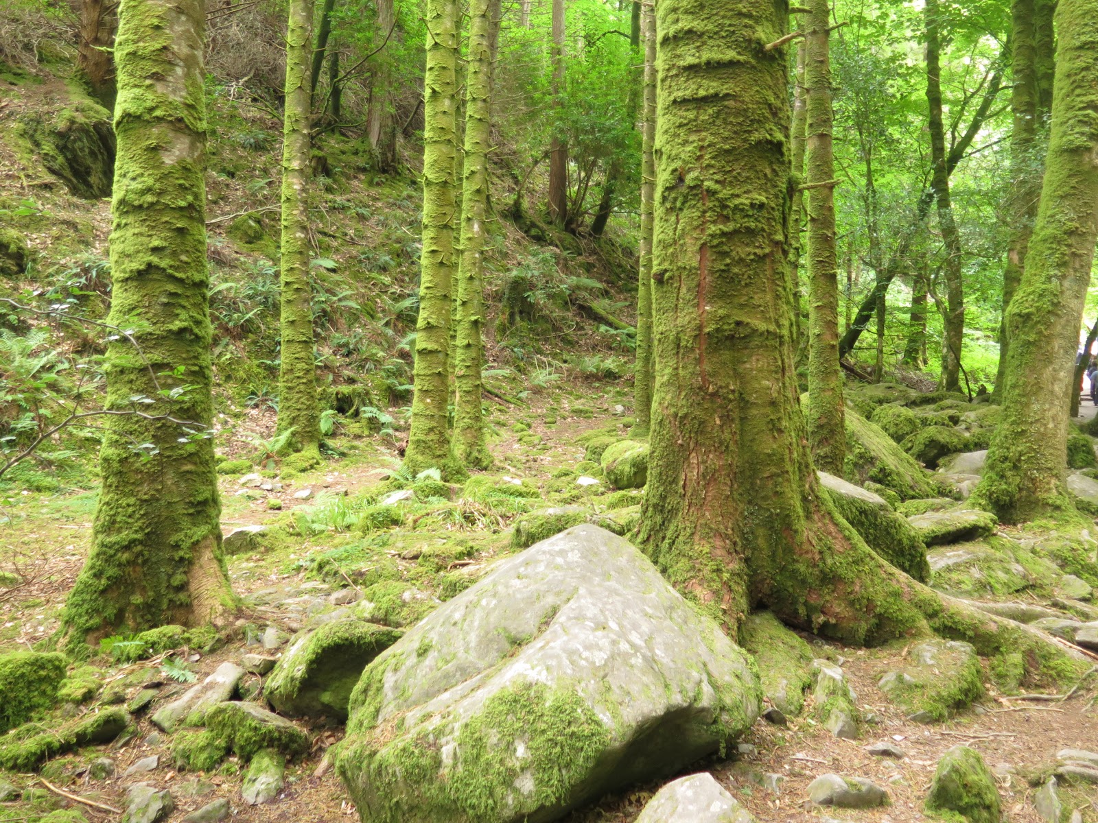 Gypsy Monika: Driving Ireland's Ring Of Kerry