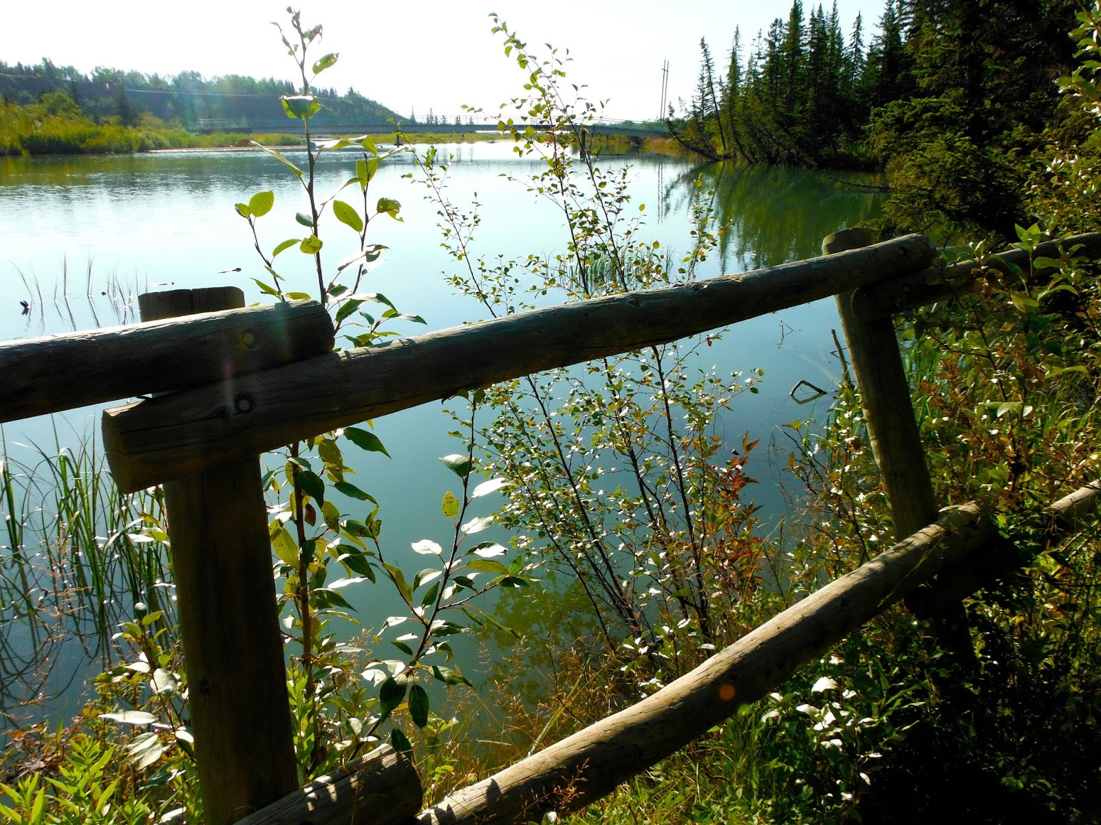 Walking Calgary: Weaselhead Flats
