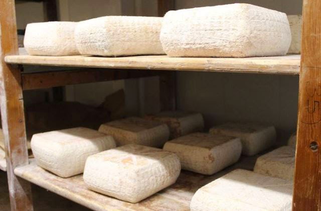 Cheez-Elle: Sheep Milk