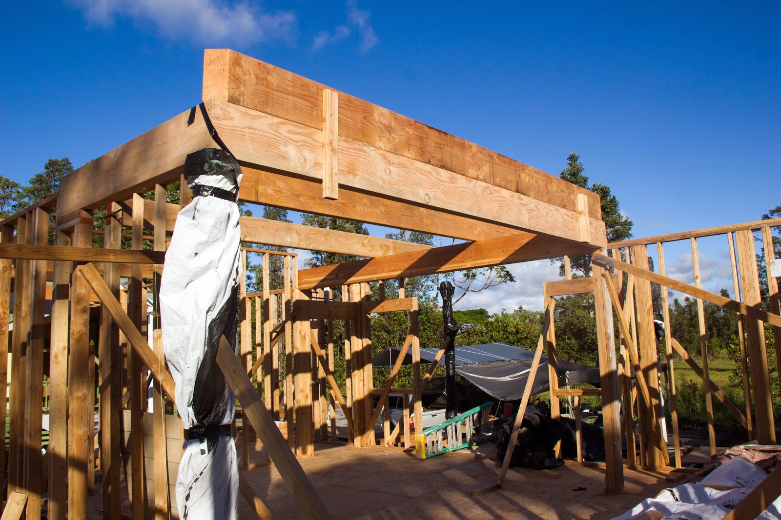 Big Island Living: Beam raising