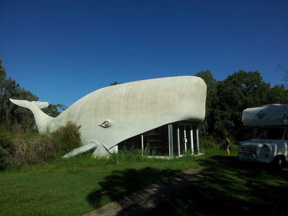 The Adventures of Keith: Emu Park, The Big Whale & a Monkey Bike