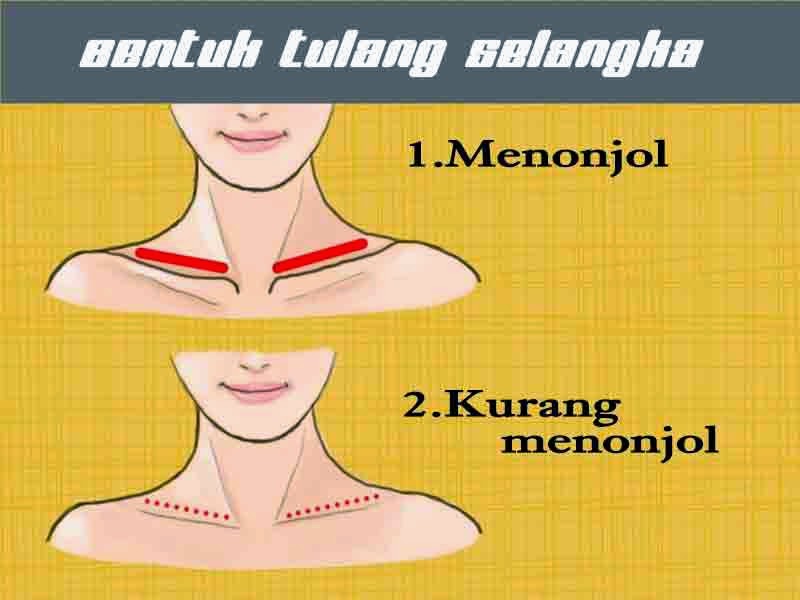 Kepribadian Seseorang Dari Bentuk Tulang Selangkanya