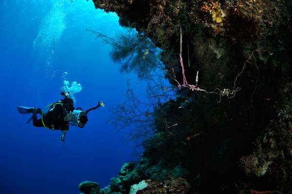 Diving Banda Neira | Malioboro