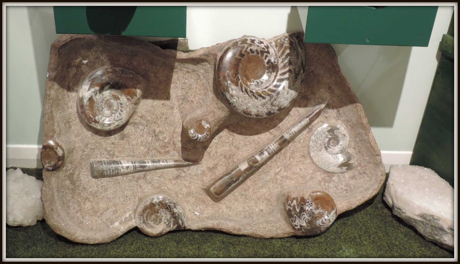 The Glebe Blog: 07/2013