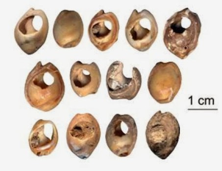 BIBLICAL ANTHROPOLOGY: Archaic Shell Technology