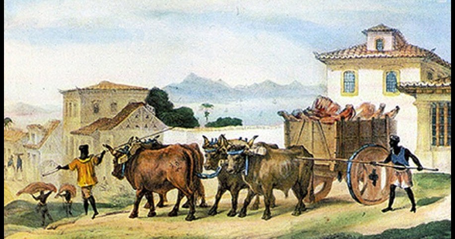 S T R A V A G A N Z A: A PECUÁRIA NO BRASIL COLONIAL