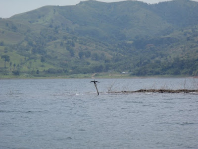 Eco Living Costa Rica: Lake Arenal Boat Tour