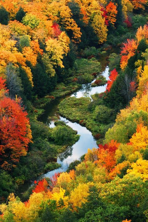 Gorgeous color ~ Stunning nature