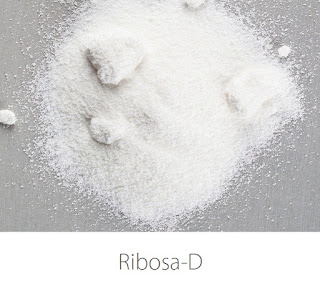 Nutrición Perfecta : Ribosa D