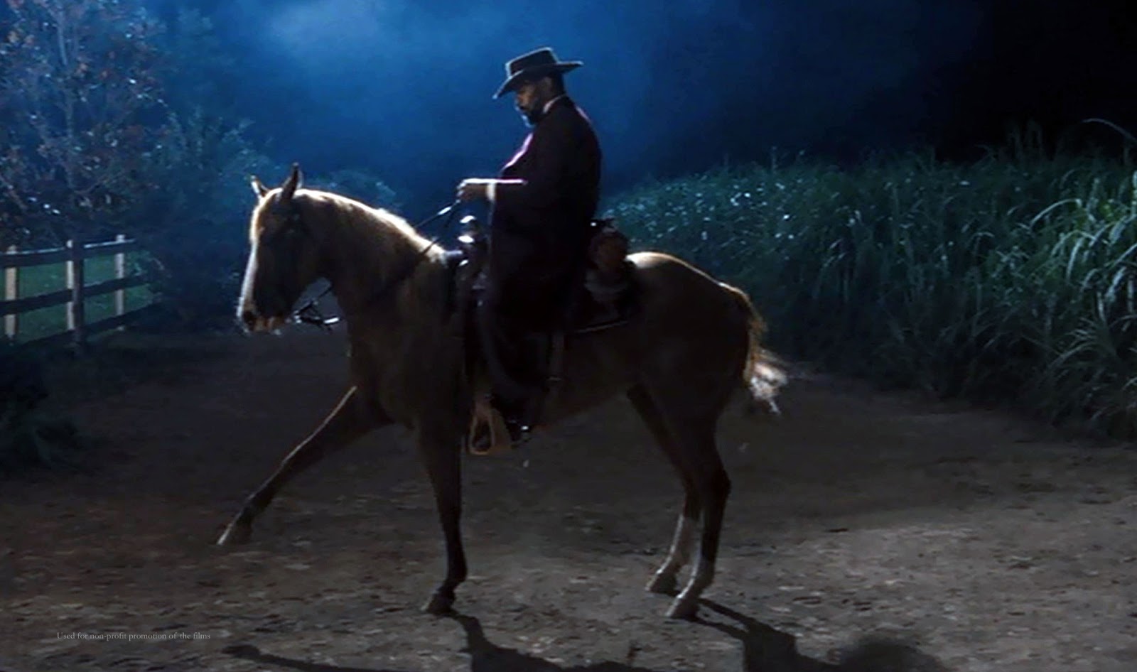 Essays and Diversions: Django - The D is Silent