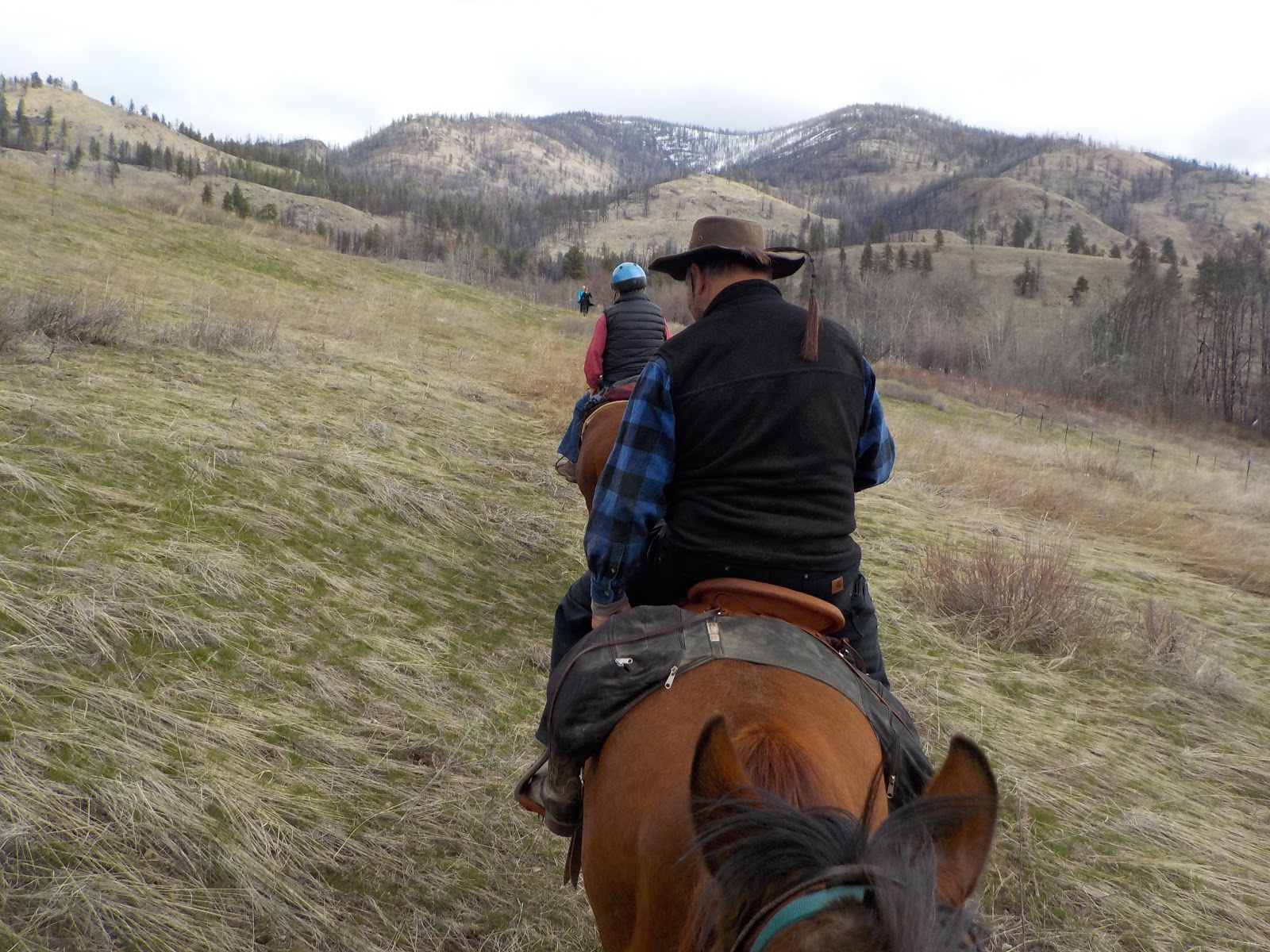 Methow Valley Back Country Horsemen: The "Lookie-see" and Flagging Rides