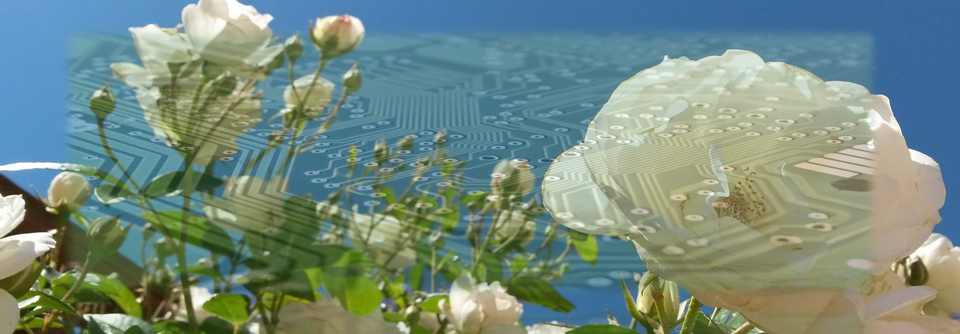 Plantas electrónicas vivas, o e-Plants, un futuro no tan lejano ...