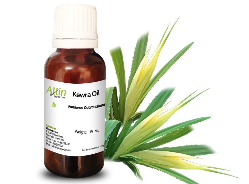 Aryan Cuisine: Kewra Water