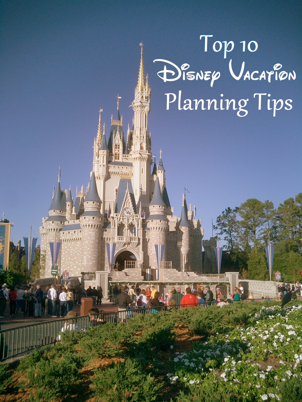 Top 10 Disney Vacation Planning Tips (Part One) - Celebrate Every Day ...