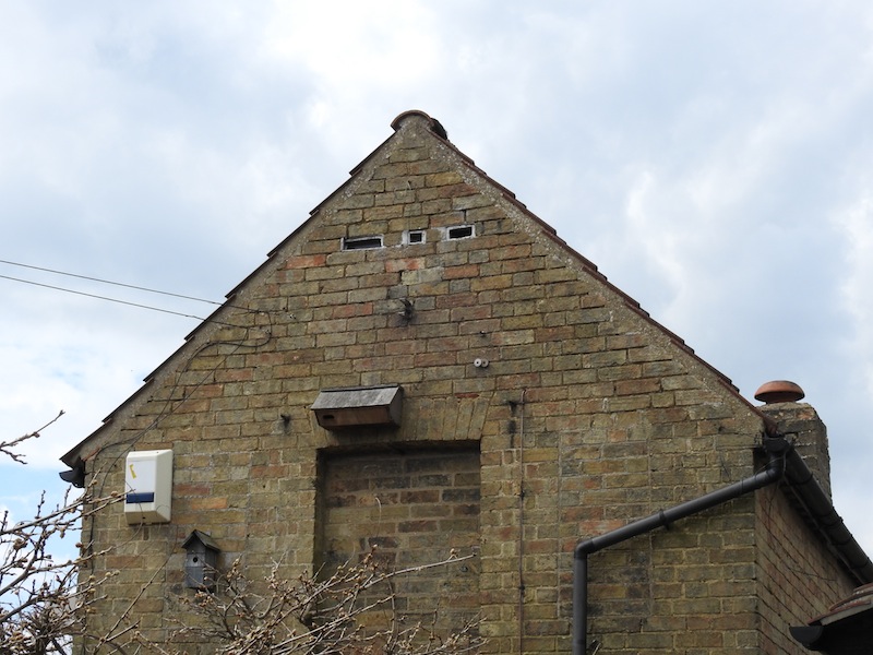 Action for Swifts: Some implementations of the Cambridge Swift Box System