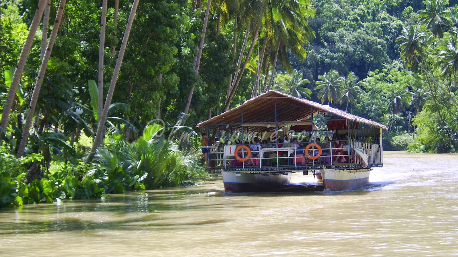 Lin-Marie Jamieson: May 2015