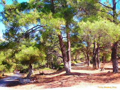 Funky Monkey : Πίσω στο χρόνο ~ Μεταλλευτικό Συγκρότημα Θάσου # 1 ...
