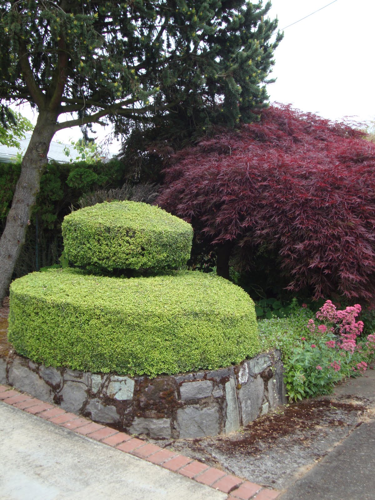 danger garden: Two styles of gardening and landscaping your Portland ...