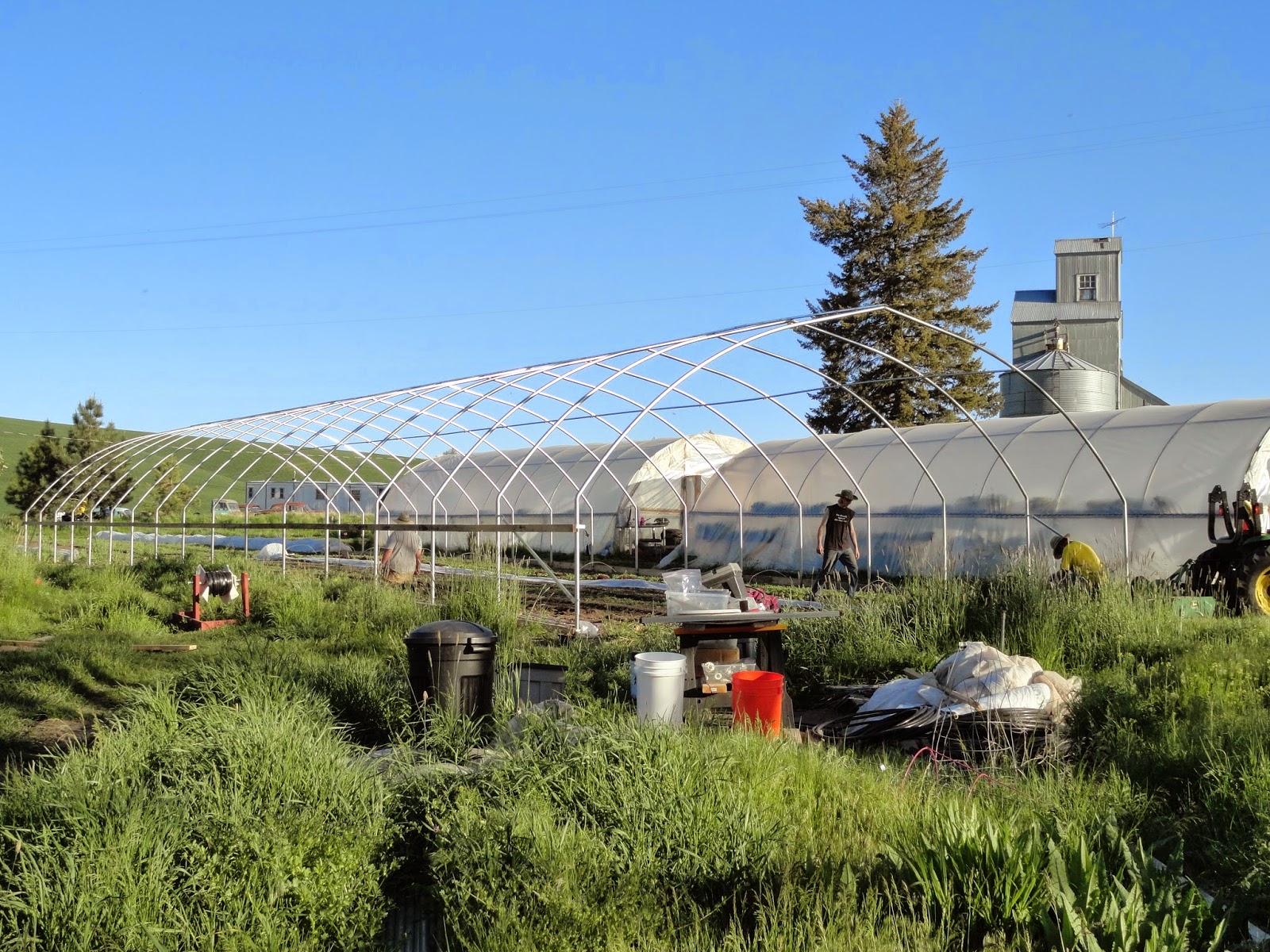 Omache Farm: Hoophouse Raising!