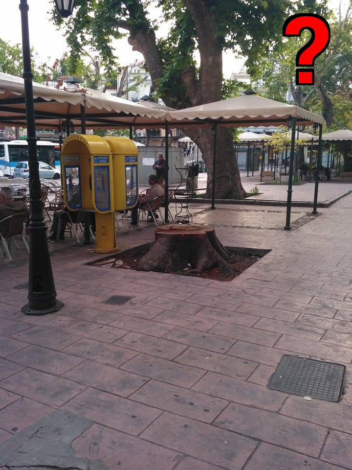 ΕΝΑ ΑΠΟ ΤΑ ΙΣΤΟΡΙΚΑ ΠΛΑΤΑΝΙΑ ΣΤΗΝ ΠΛΑΤΕΙΑ ΛΑΟΥ ΔΕΝ ΥΠΑΡΧΕΙ ΠΙΑ ...